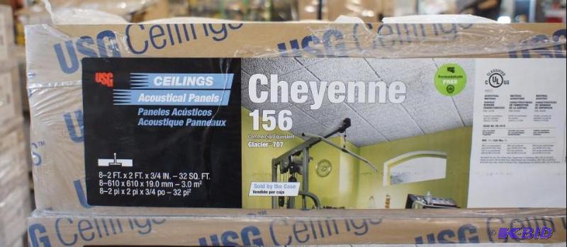 Usg Ceiling Tile 2x2 Cheyenne